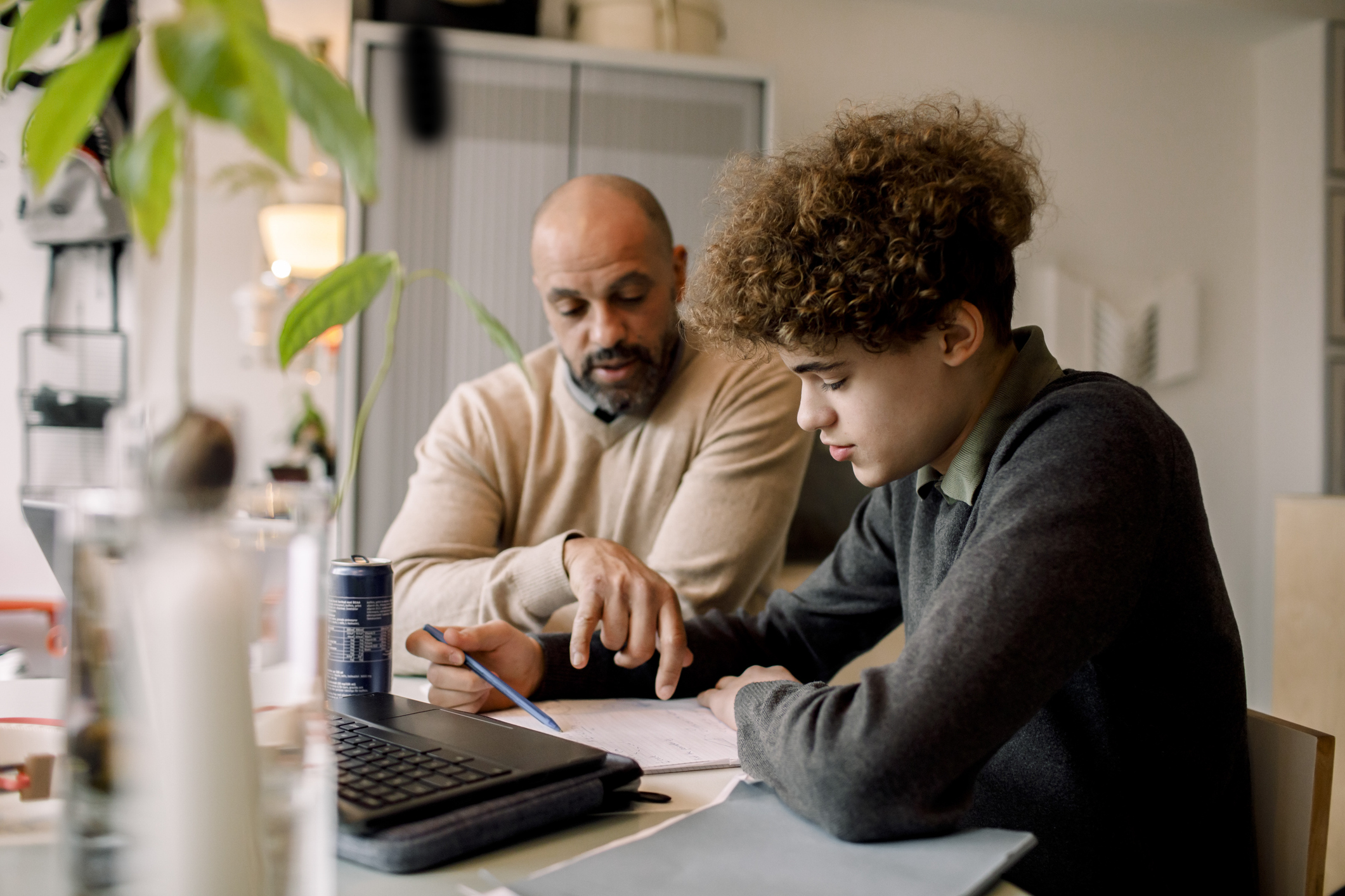 What is Rice v Asplund Rule and Section 65DAAA and when parenting ...
